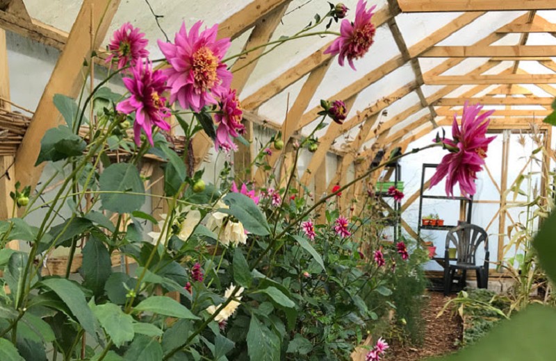 Bower, Wick, Highland. KW1 4TL - Yvonne Fitzgerald Properties